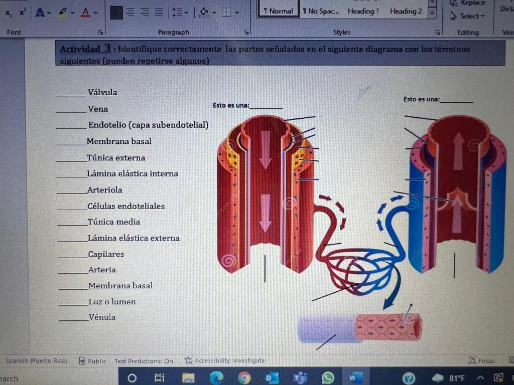 Solved Activity 3: Correctly identify the parts indicated in | Chegg.com