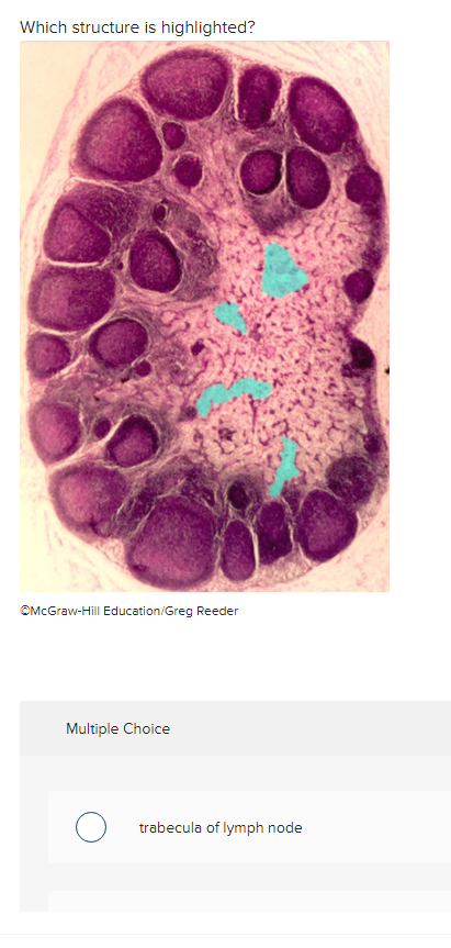 Which structure is highlighted? McGraw-Hill | Chegg.com