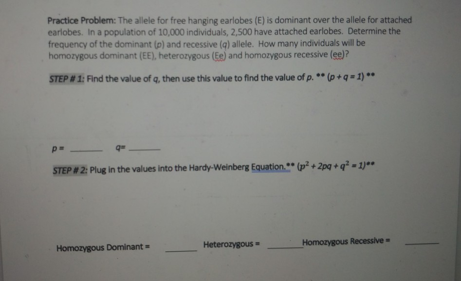 Solved Practice Problem: The allele for free hanging | Chegg.com