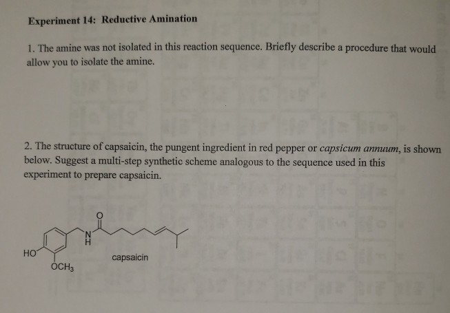 Solved Experiment 14: Reductive Amination 1. The amine was | Chegg.com