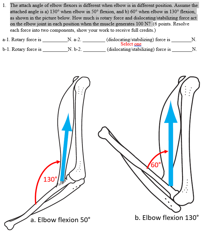 Solved 1. The attach angle of elbow flexors is different | Chegg.com