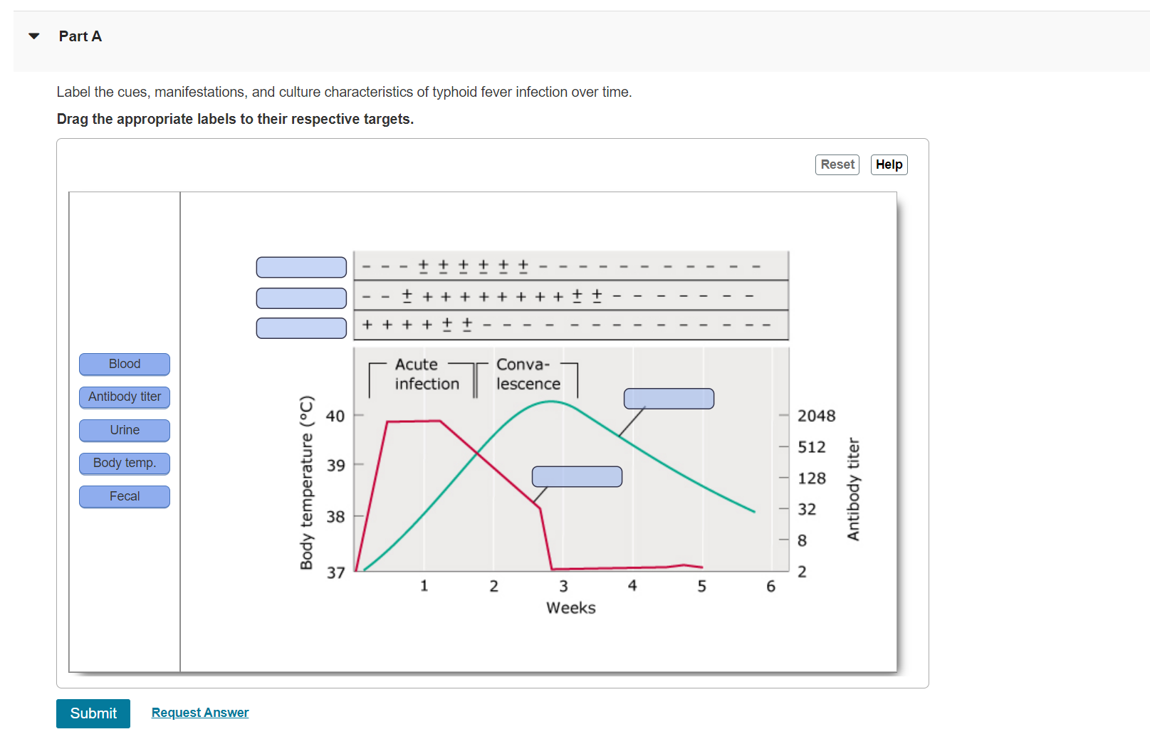 Solved Label the cues, manifestations, and culture | Chegg.com