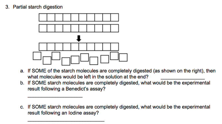 Solved 2. No starch digestion 1 a. If NONE of the starch | Chegg.com