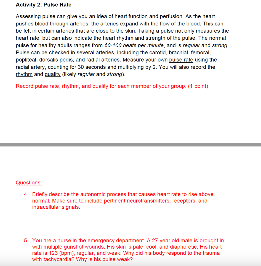 Solved Activity 2: Pulse Rate Assessing pulse can give you | Chegg.com