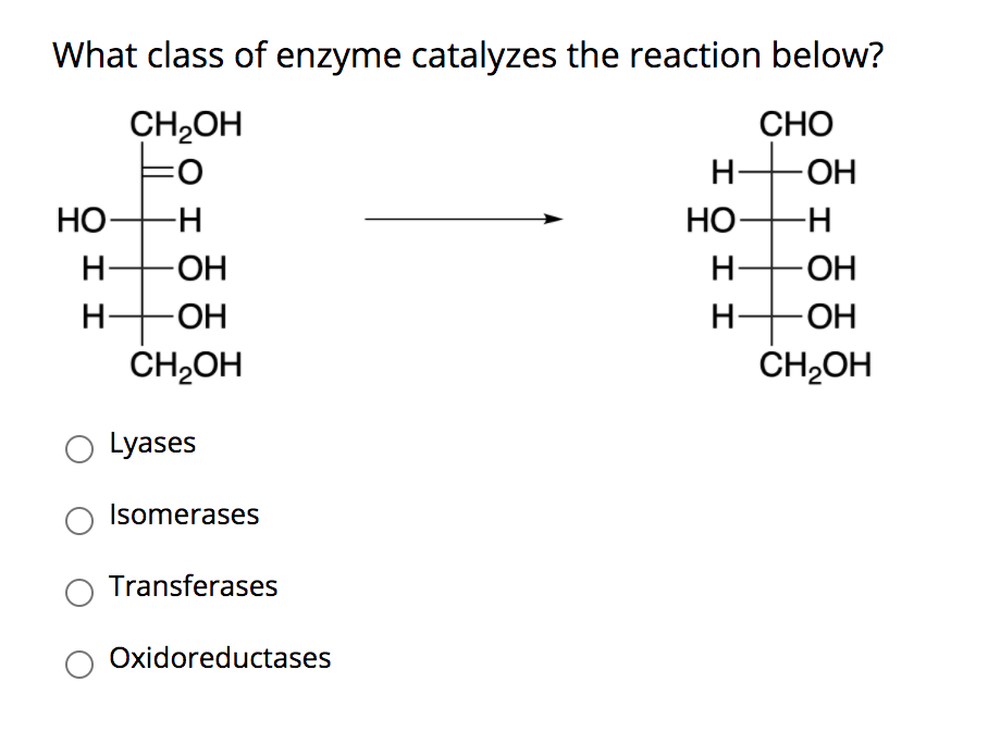 Solved What class of enzyme catalyzes the reaction below? | Chegg.com