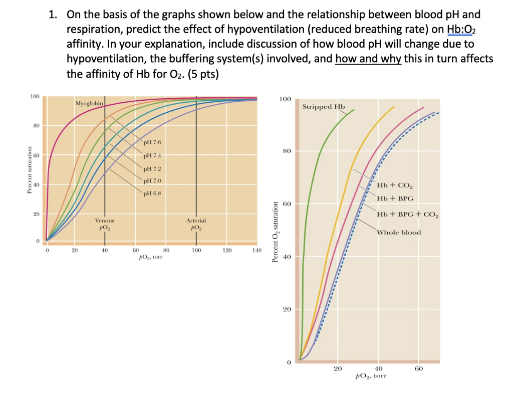 Solved 1. On the basis of the graphs shown below and the | Chegg.com