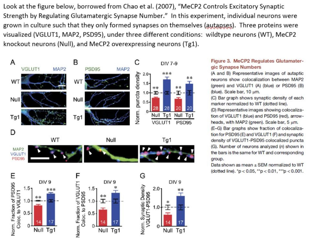Solved Look at the figure below, borrowed from Chao et al. | Chegg.com