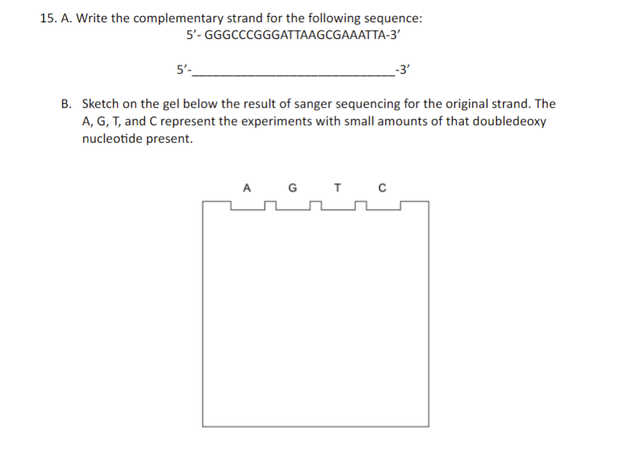 Solved 15. A. Write the complementary strand for the | Chegg.com