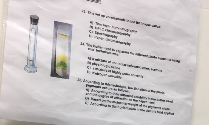 Solved BSC-2010-Lab: Final Practicum Station #4 8. This | Chegg.com