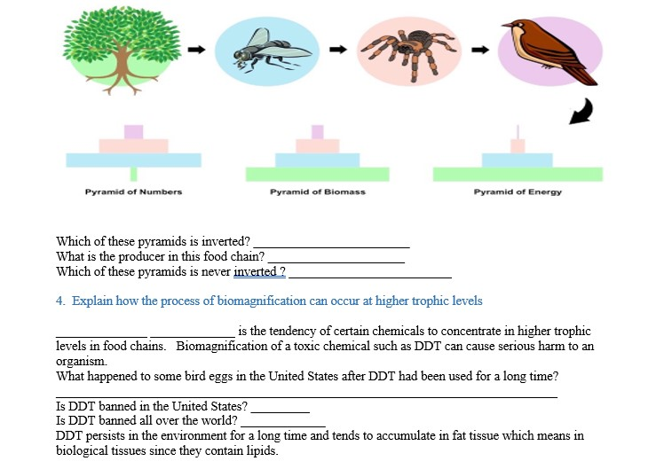 Solved NPP = GPP – R Net primary production | Chegg.com