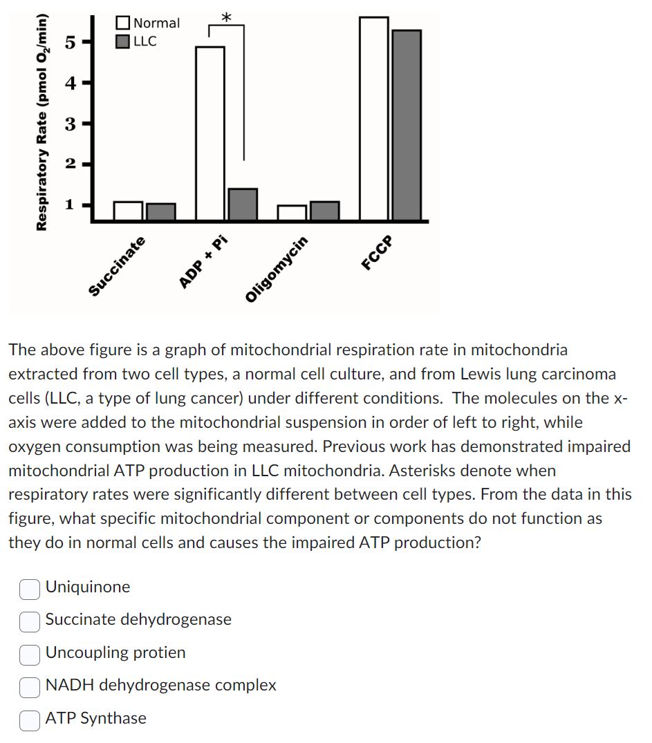 Solved The above figure is a graph of mitochondrial | Chegg.com