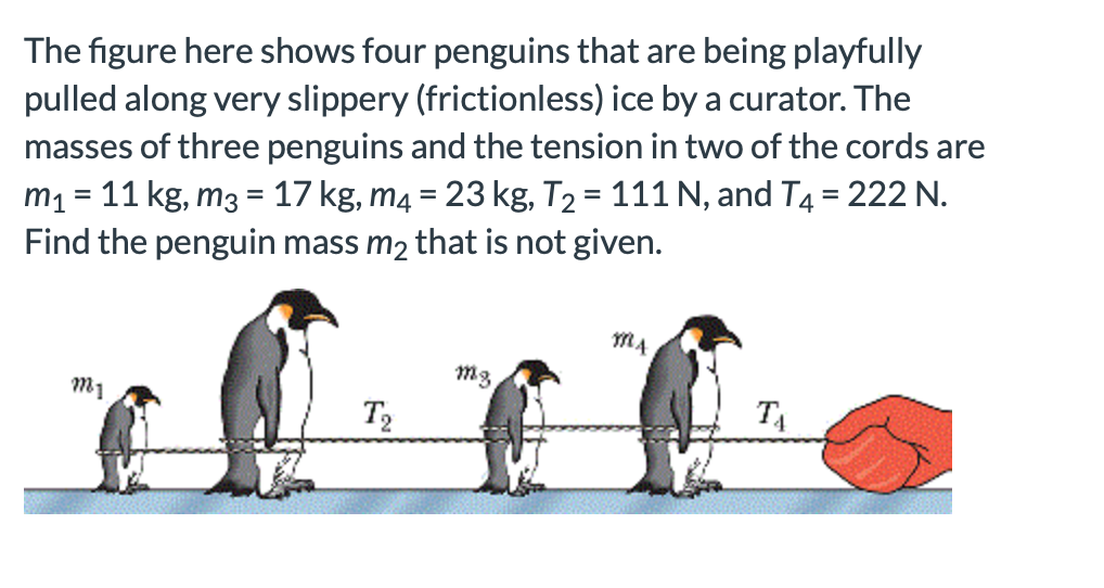 Solved The figure here shows four penguins that are being | Chegg.com
