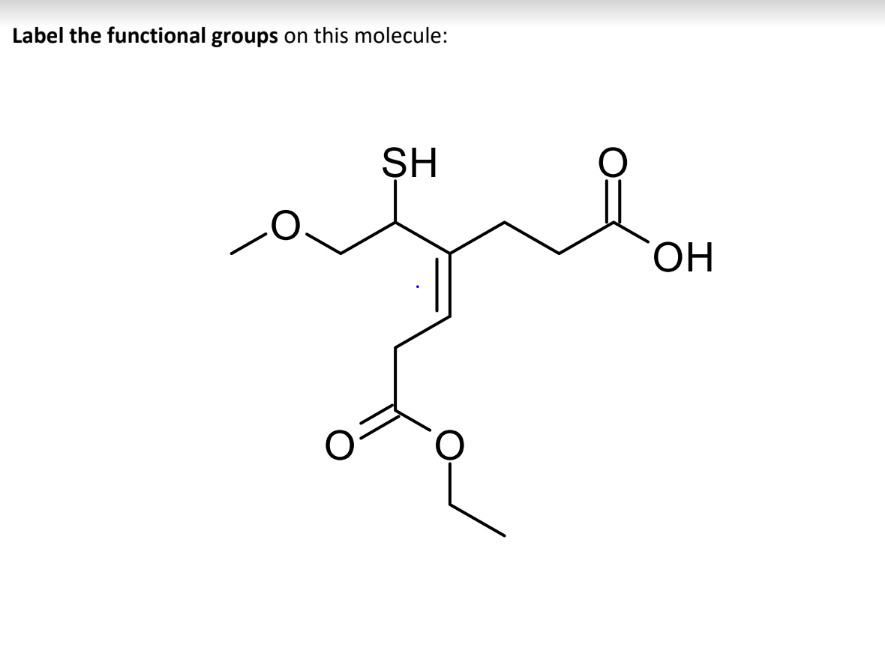 Solved Label the functional groups on this molecule: SH ОН | Chegg.com