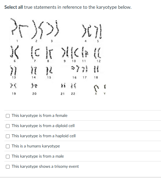 Solved Select all true statements in reference to the | Chegg.com