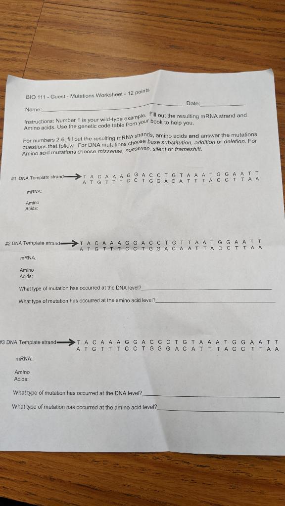 Solved Name: Date: Instructions: Number 1 is your wild-type | Chegg.com