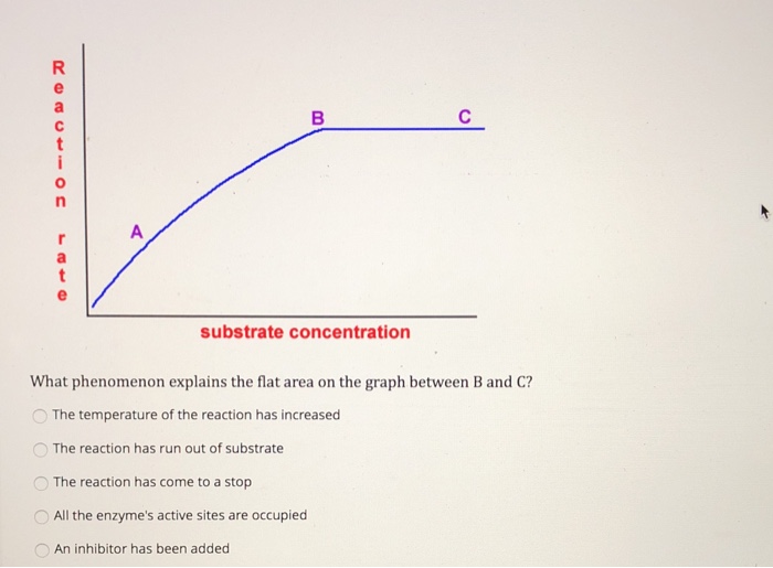 Solved substrate concentration What phenomenon explains the | Chegg.com
