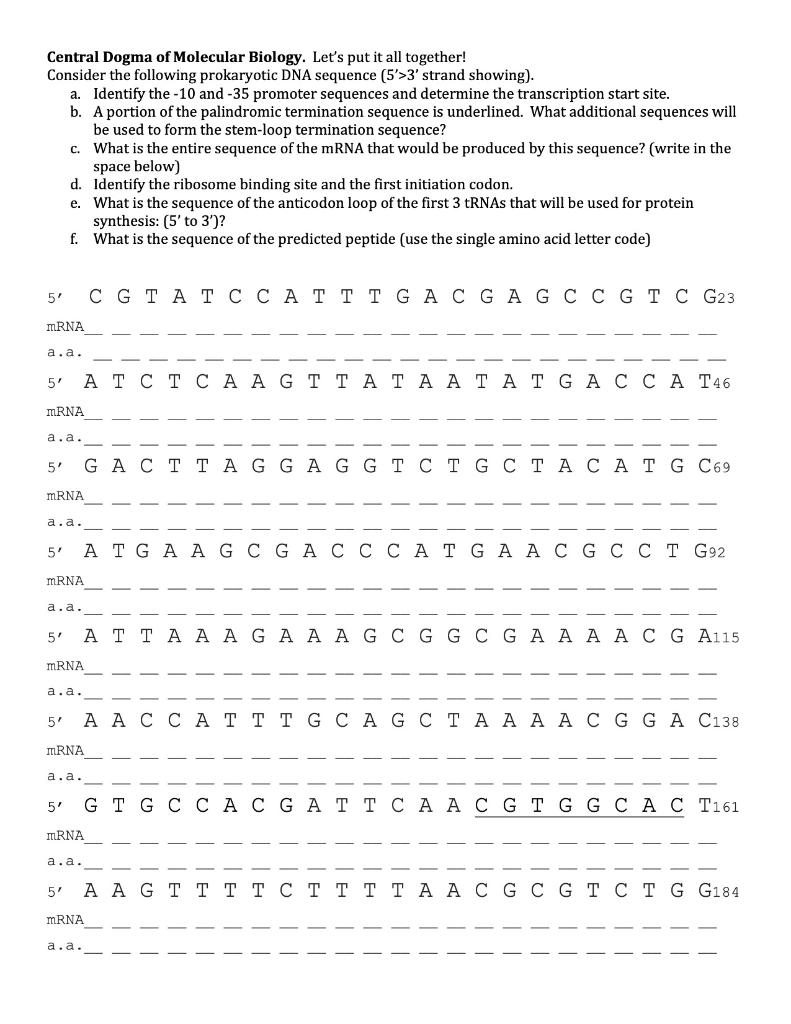 Solved Central Dogma of Molecular Biology. Let's put it all | Chegg.com
