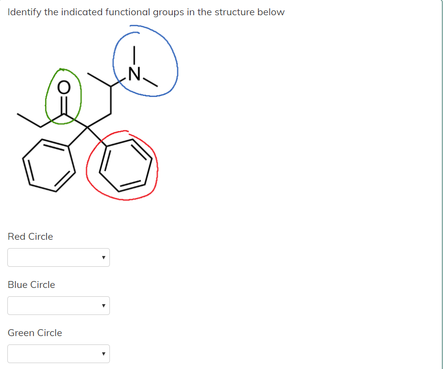 Solved Identify the indicated functional groups in the | Chegg.com