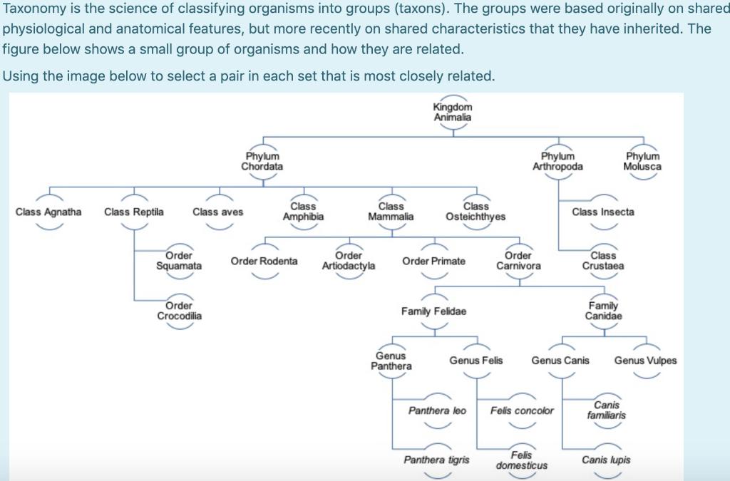 Solved Taxonomy is the science of classifying organisms into | Chegg.com
