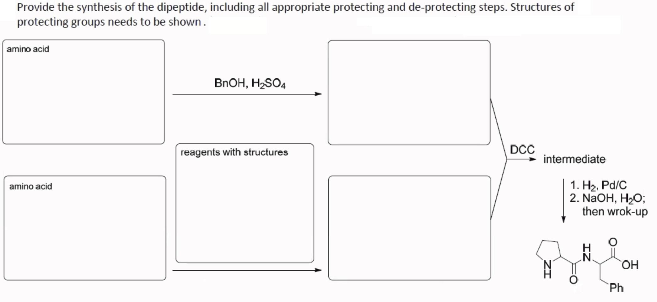 Solved Provide the synthesis of the dipeptide, including all | Chegg.com