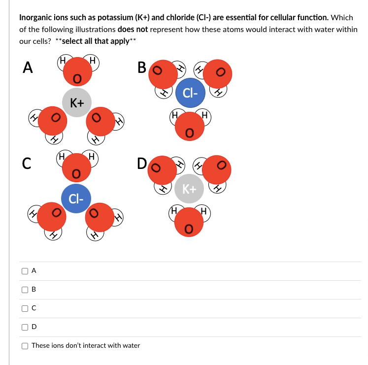 Solved Label the following biological entities from smallest | Chegg.com
