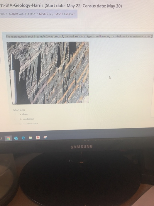 Solved 11-81A-Geology-Harris (Start date: May 22; Census | Chegg.com