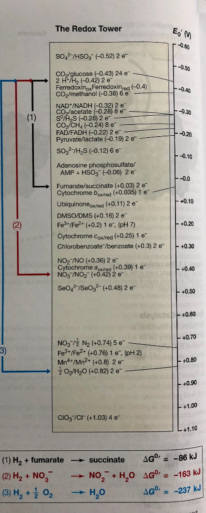 Solved The Redox Tower -0.60 -0.50 -0.40 0.30 --0.20 | Chegg.com