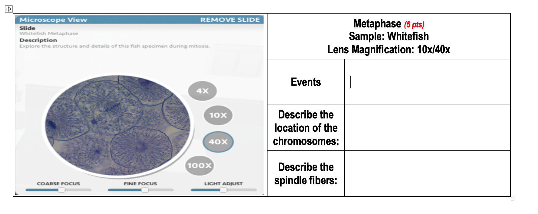 Solved + Microscope View REMOVE SLIDE slide Whitefish | Chegg.com