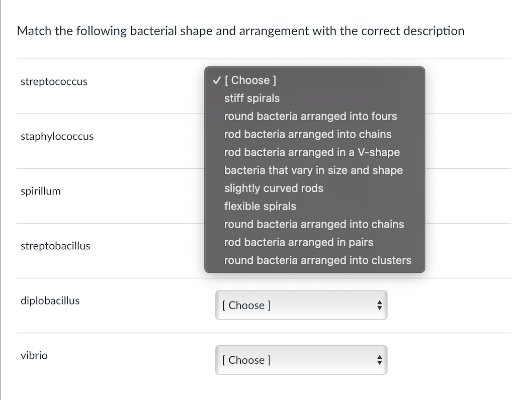 Solved Match the following bacterial shape and arrangement | Chegg.com