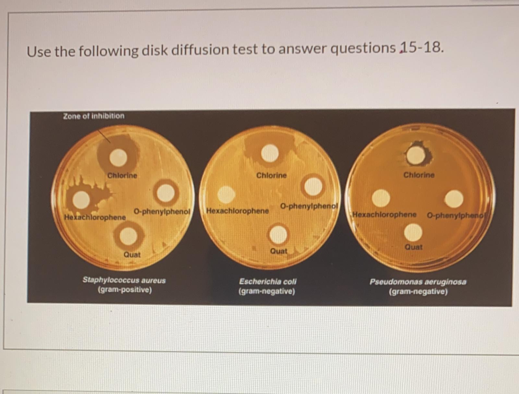 Solved Use the following disk diffusion test to answer | Chegg.com