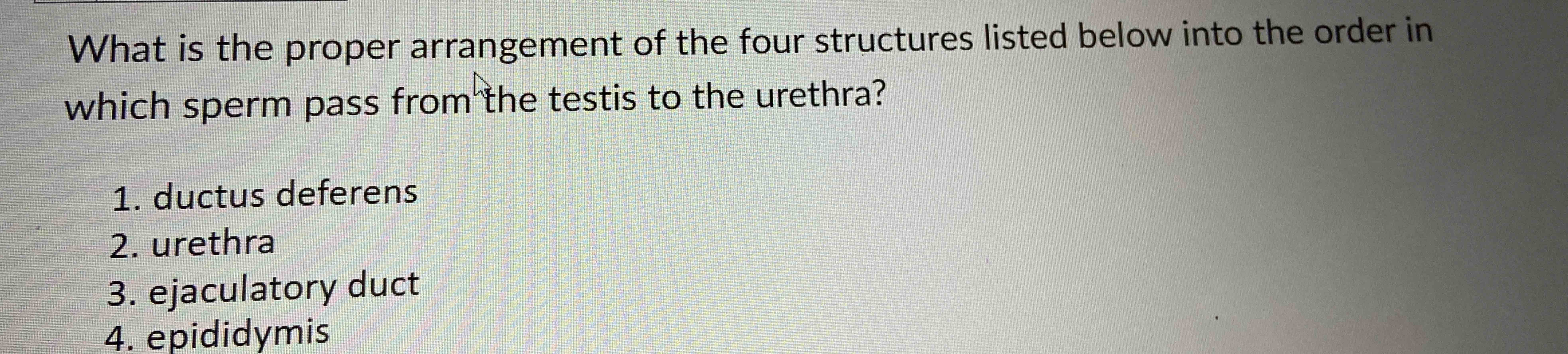 Solved What is the proper arrangement of the four structures | Chegg.com