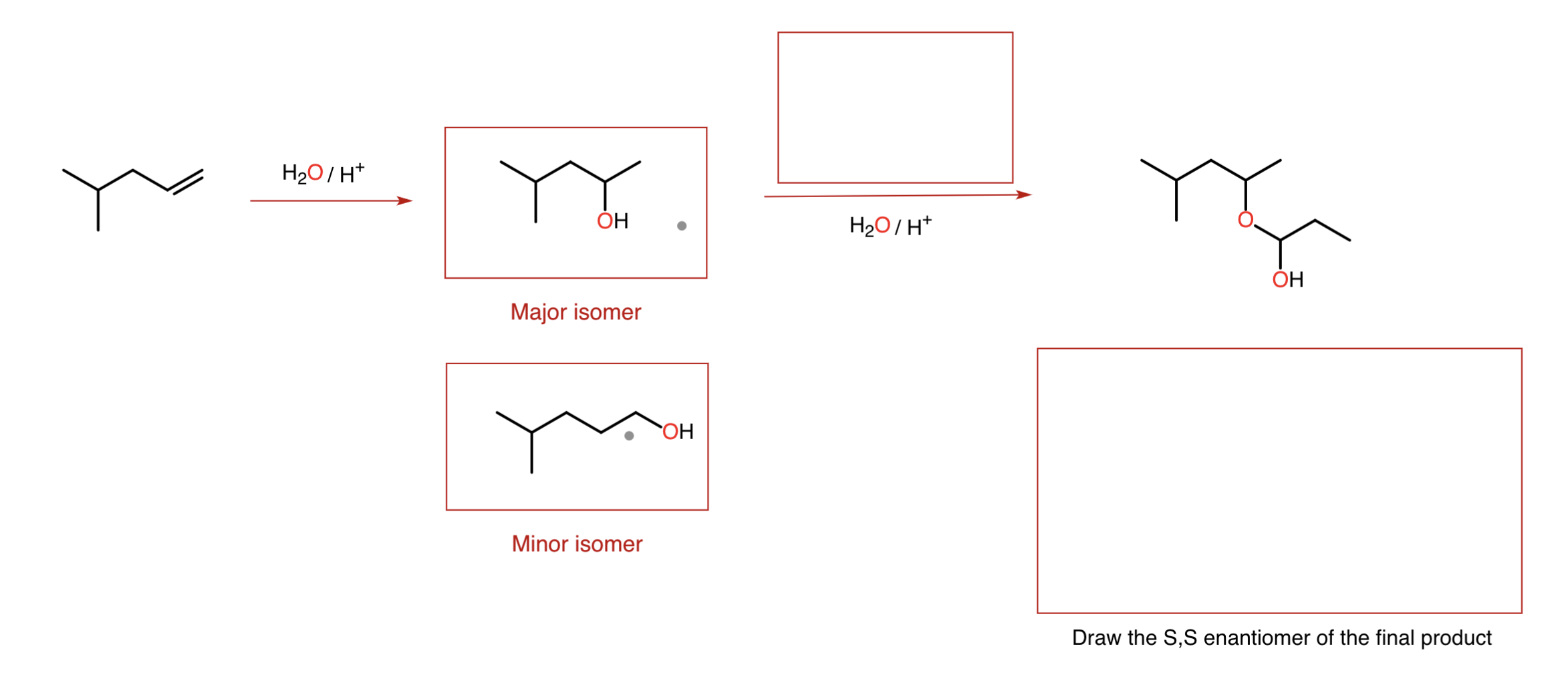 Solved Major isomer Minor isomer Draw the S,S enantiomer of | Chegg.com Solved Major isomer Minor isomer Draw the S,S enantiomer of | Chegg.com