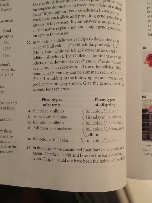 Solved Genetics Problems 22 Explain Solutions Please Chegg
