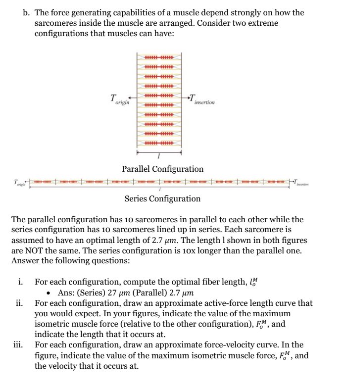 b. The force generating capabilities of a muscle | Chegg.com