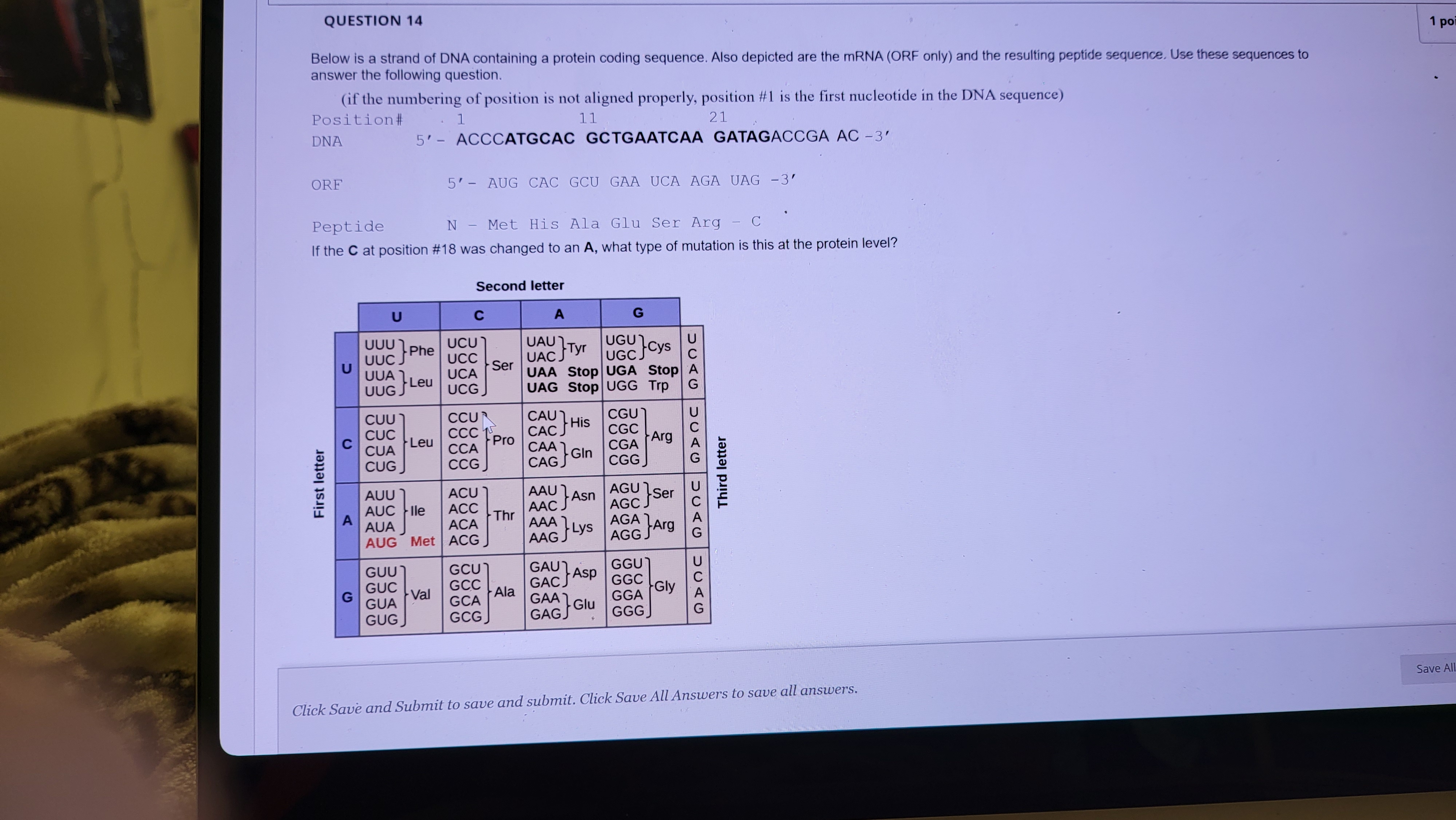 Solved Below is a strand of DNA containing a protein coding | Chegg.com