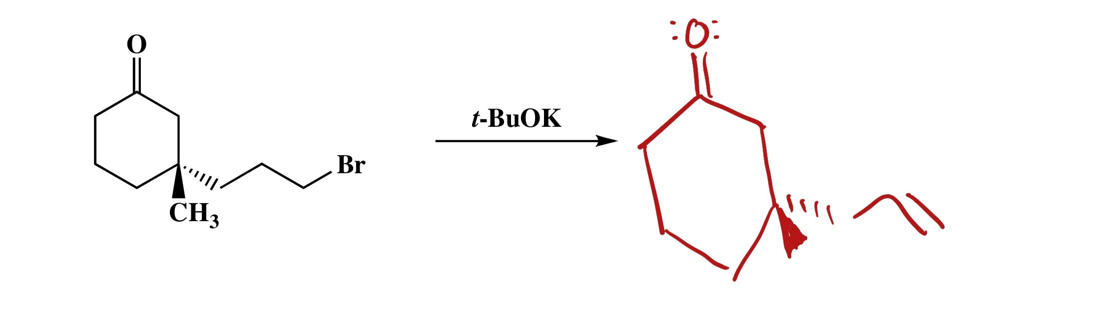 Solved :0: 0 t-BuOK Br B CH, ་་་། Draw the mechanism of | Chegg.com