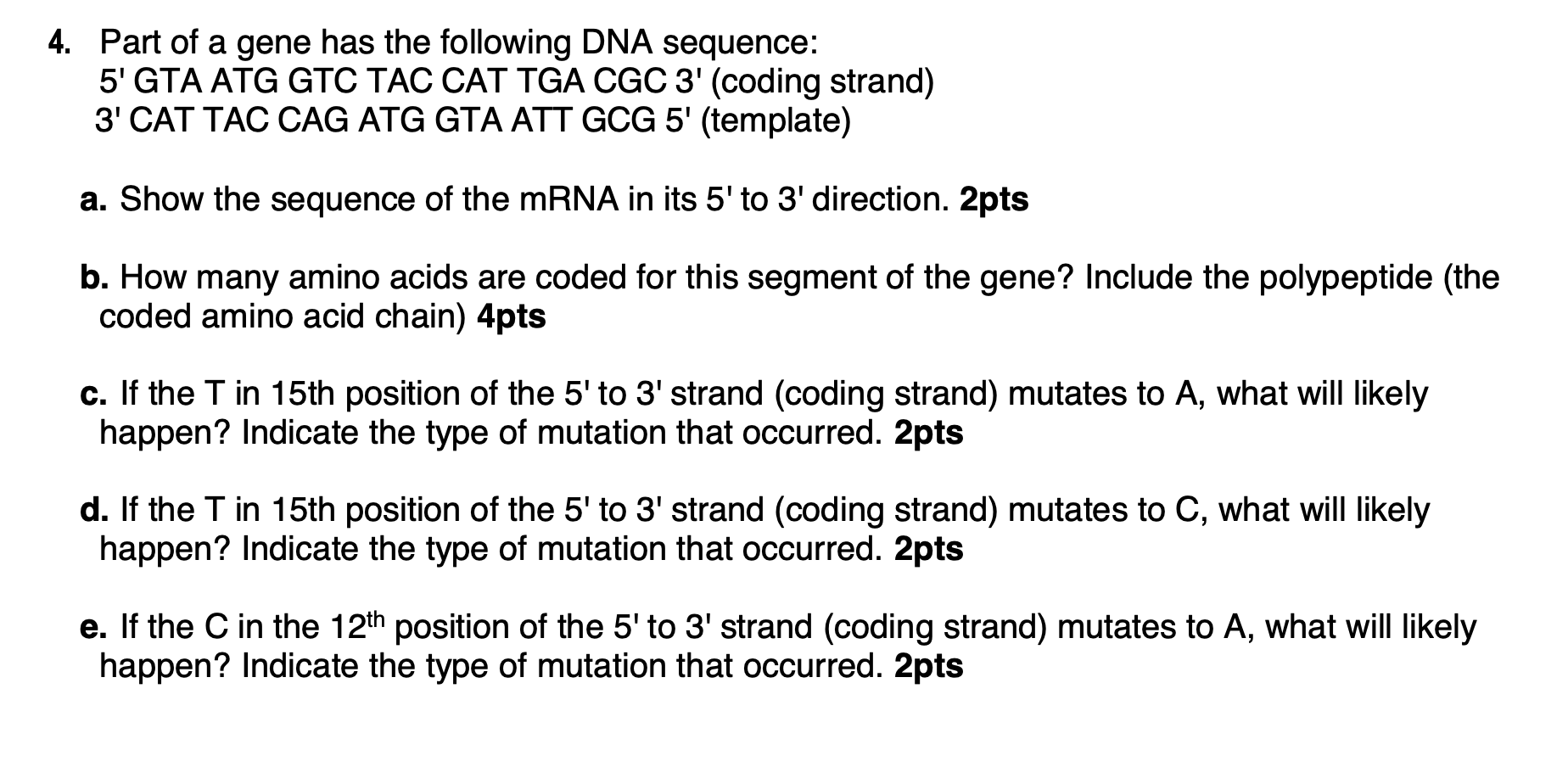 Solved 4. Part of a gene has the following DNA sequence: 5' | Chegg.com