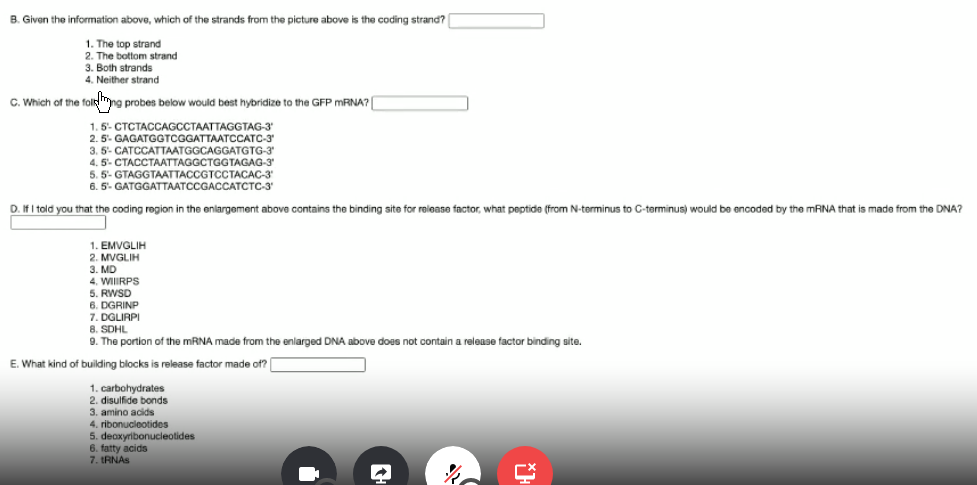 Solved The list of codons is below, with codons shown in a | Chegg.com