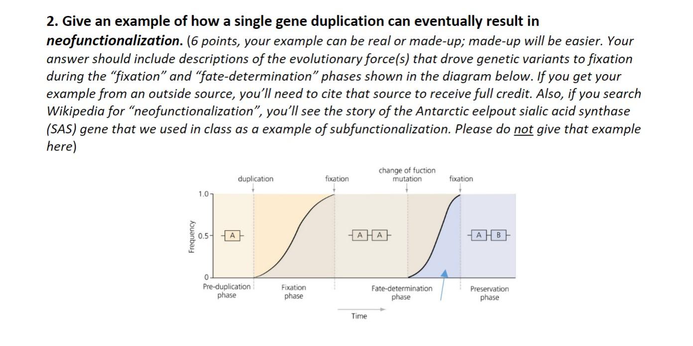 Solved 2. Give an example of how a single gene duplication | Chegg.com