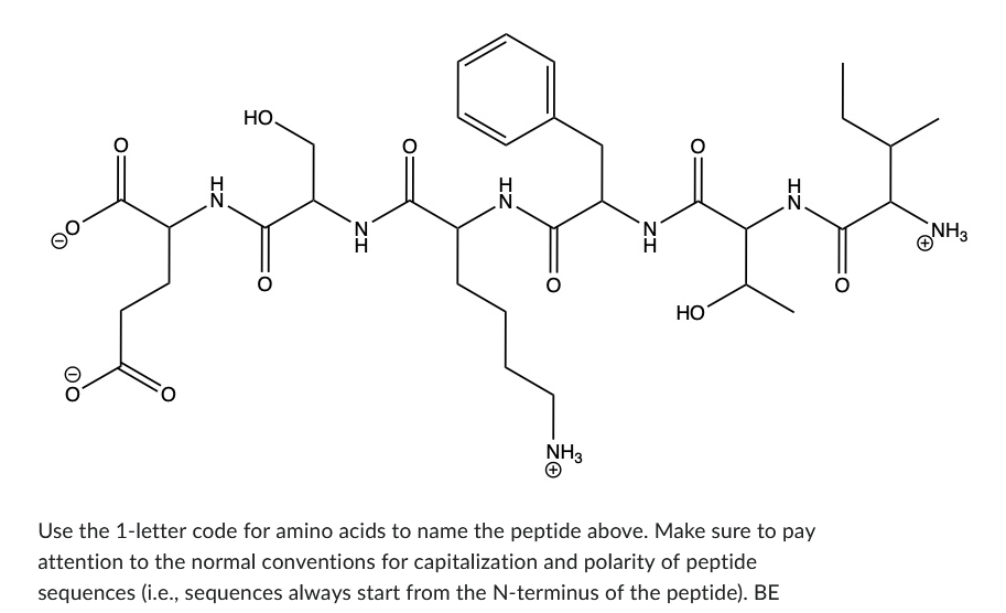 Solved Use the 1-letter code for amino acids to name the | Chegg.com