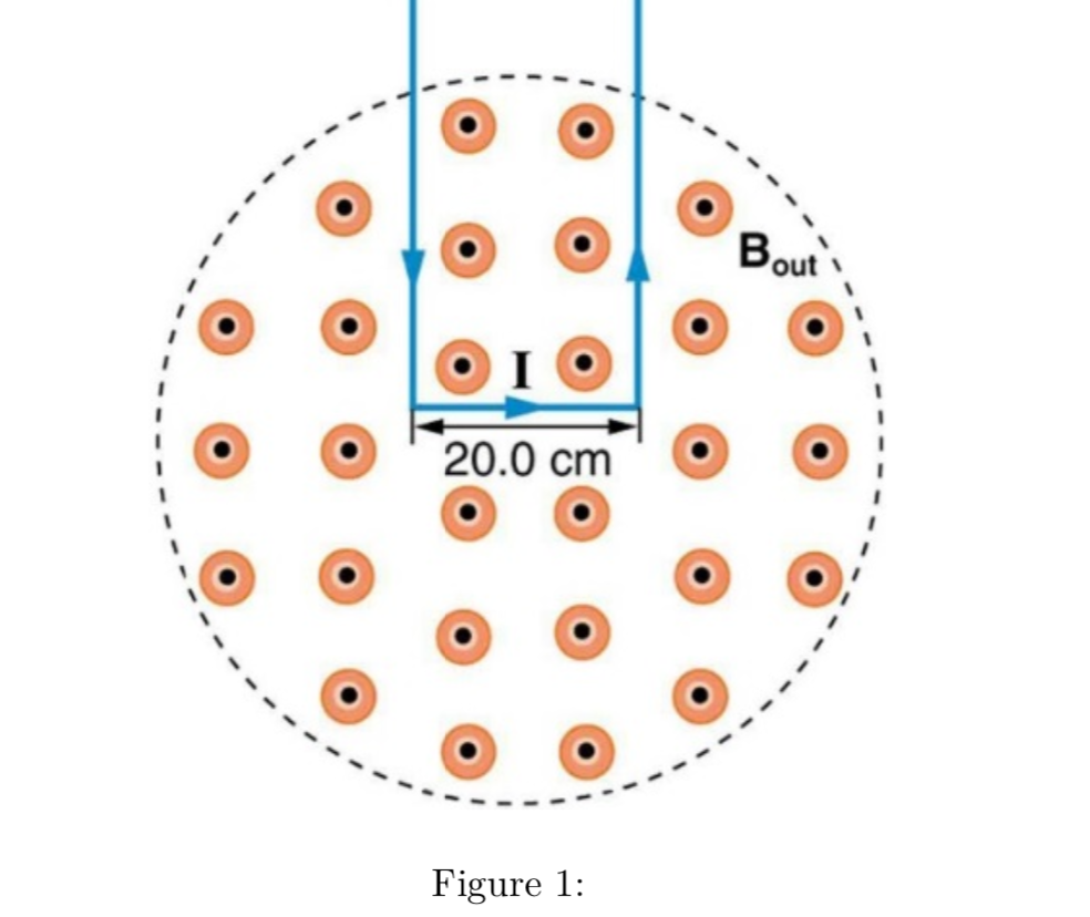 Solved The force exerted on a rectangular loop placed in a | Chegg.com