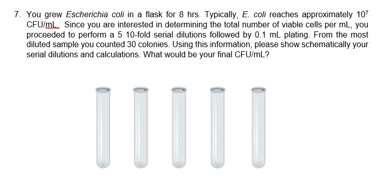 Solved 7. You grew Escherichia coli in a flask for 8 hrs. | Chegg.com