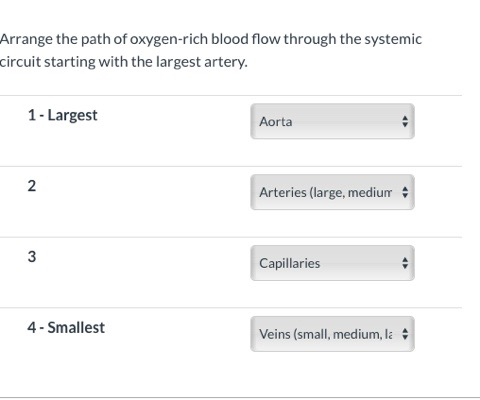 Solved Arrange the path of oxygen-rich blood flow through | Chegg.com