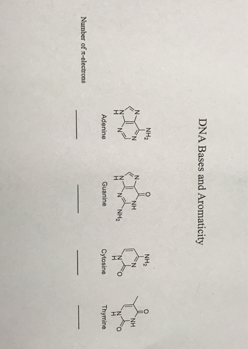 Solved DNA Bases and Aromaticity NH2 NH2 NH NH Adenine | Chegg.com