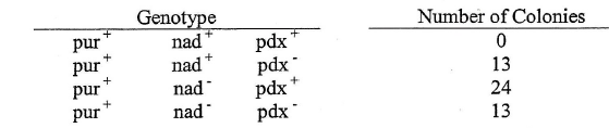 Solved In a generalized transduction cross using P1 phage, | Chegg.com
