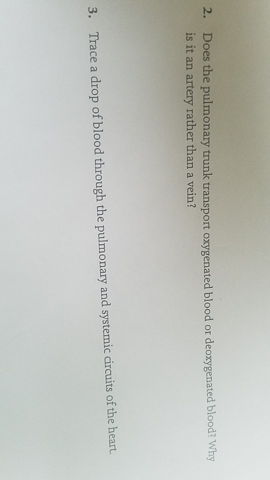 Solved 2. Does the pulmonary trunk transport oxygenated | Chegg.com