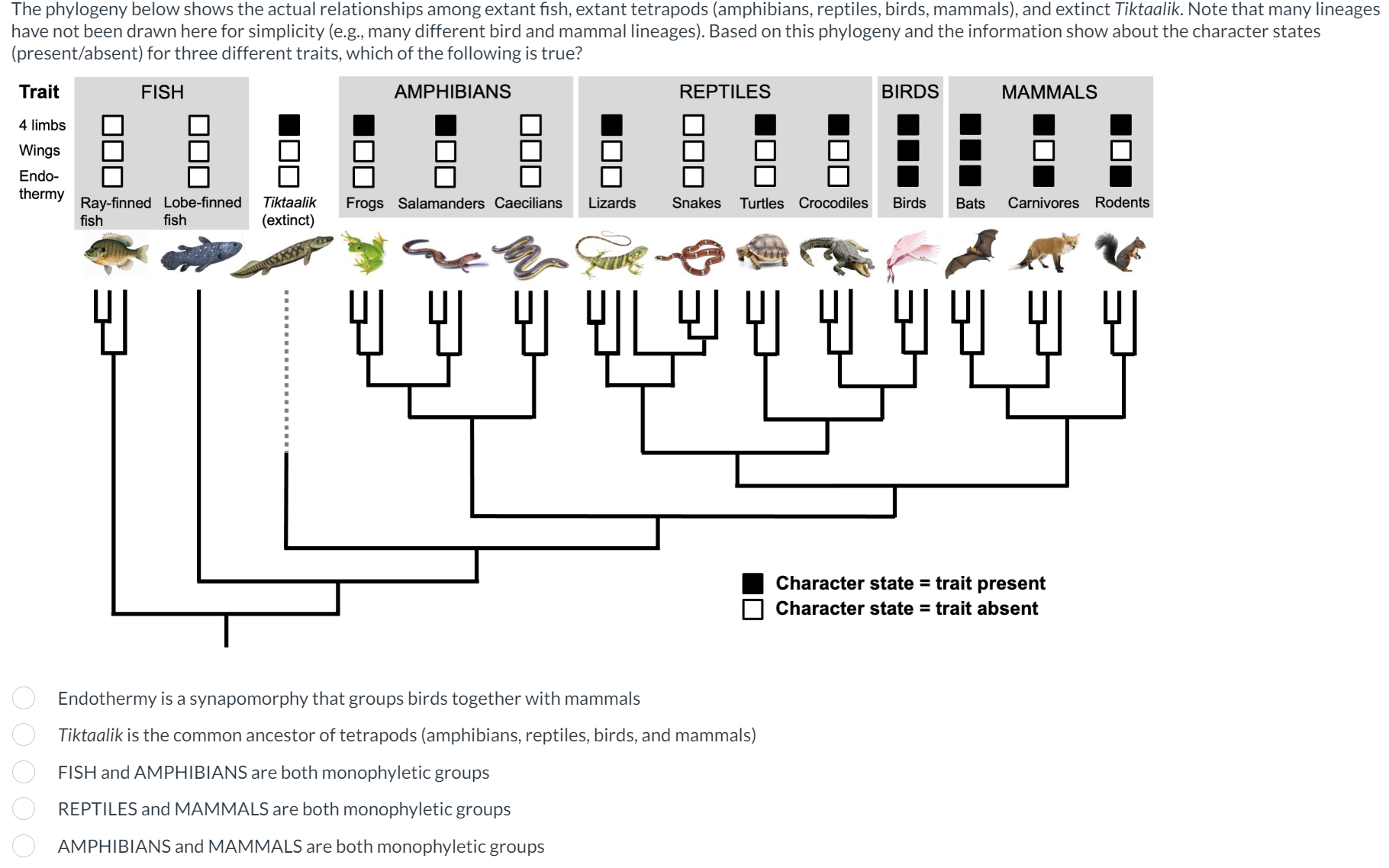 Solved The phylogeny below shows the actual relationships | Chegg.com