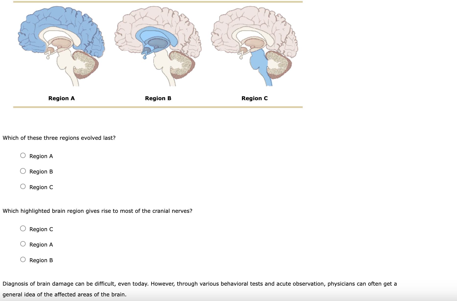 Solved Which of these three regions evolved last? Region A | Chegg.com