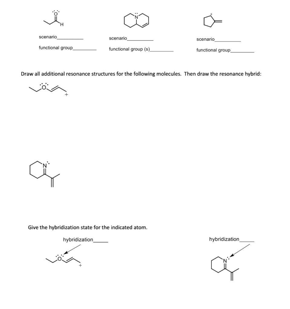 Solved scenario scenario scenario functional group | Chegg.com