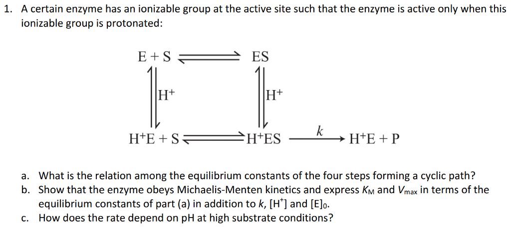 Solved 1. A certain enzyme has an ionizable group at the | Chegg.com